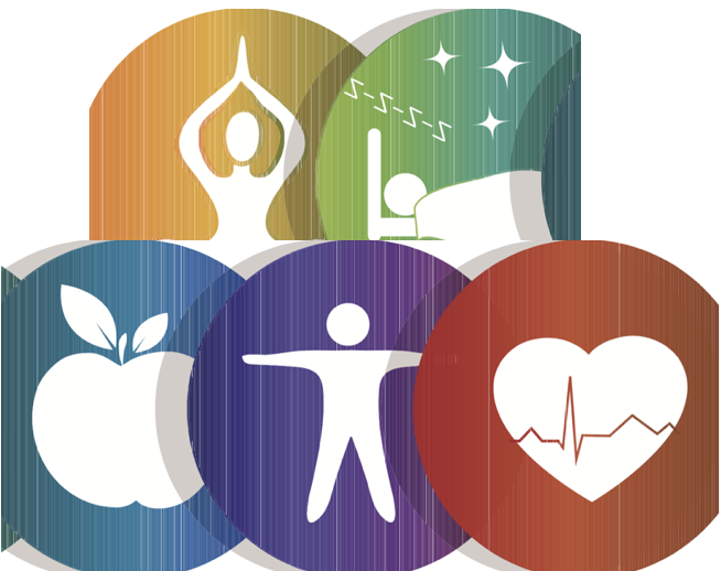 When did you last have a Health MOT? - Seed Wellness