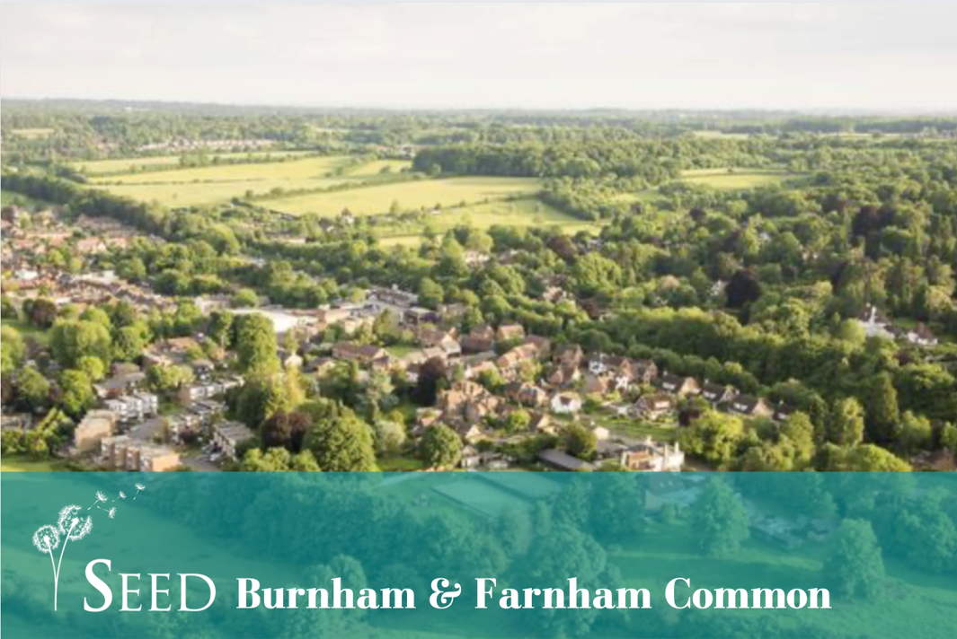 Therapists in Burnham and Farnham Common